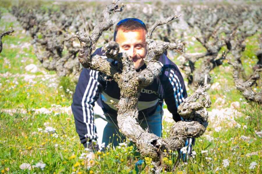 Penedès/BCN: Self-Guided eBike Tour with guided Winery Visit - Who Will Love This Tour?