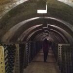 Penedes: Private Wine and Cava Tasting Tour - The Itinerary: What You Can Expect