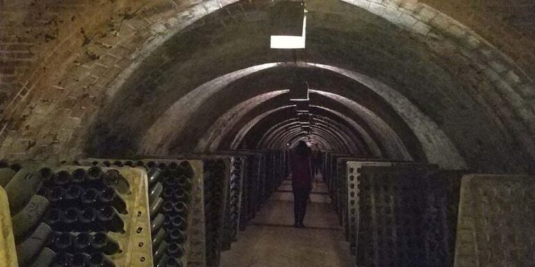 Penedes: Private Wine and Cava Tasting Tour - The Itinerary: What You Can Expect