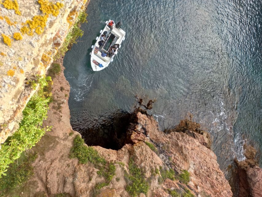 Peniche: Berlengas Island Round-Trip Ferry with Island Stop - Analyzing the Cost and Value