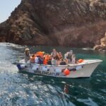 Peniche: Berlengas Roundtrip and Glass-Bottom Boat Cave Tour - What Makes This Tour Stand Out?