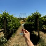 Perugia: Bike Tour and Wine Tasting in the Vineyards - Who Should Consider This Tour?