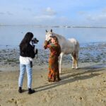 Photo Session With Horses on The Beach or in The Countryside - The Details: Itinerary and Locations