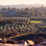 Photographic tour at sunset on Lake Garda - Why This Tour Works for Travelers