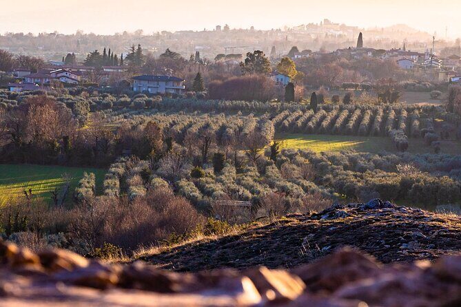 Photographic tour at sunset on Lake Garda - Why This Tour Works for Travelers