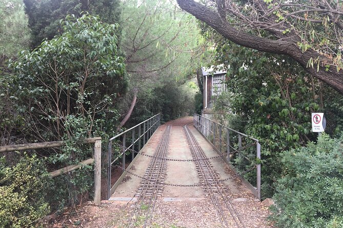 Photography route through the secret nature of Barcelona - Introduction