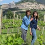 Pic nic Deluxe Assisi and wine tasting 5 wines - The Wine Tasting