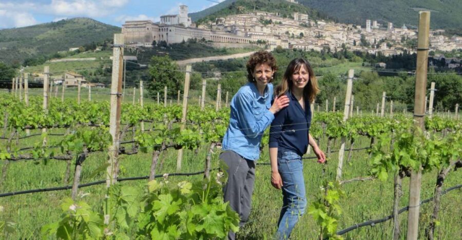 Pic nic Deluxe Assisi and wine tasting 5 wines - The Wine Tasting