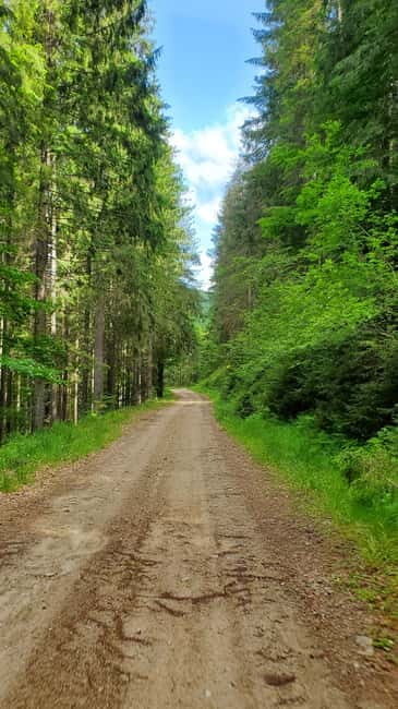 Pick-up from Cluj: e-Mountain Bike Tour Lake Dragan - Who Is This Tour Best For?