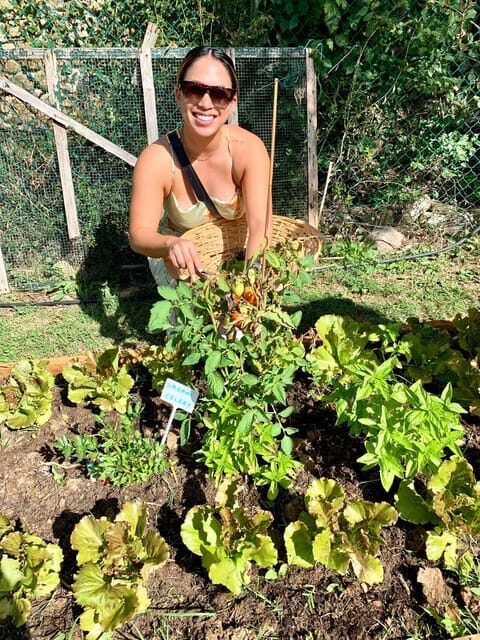 Pick Vegetables at the farm & Cook pasta - Why This Tour Is Worth Considering