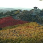 Picnic in the countryside in the heart of Chianti - Who Is This Tour Best For?