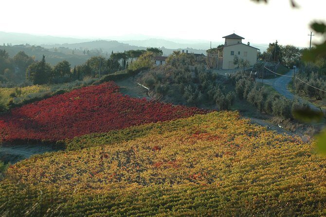 Picnic in the countryside in the heart of Chianti - Who Is This Tour Best For?