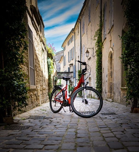 Picnic in the middle of olive groves by e-bike - An In-Depth Look at the Picnic in Olive Groves by E-Bike