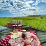 Picnic in the organic vineyards of Brunello - The Experience: Serenity and Spectacular Views