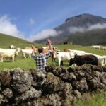 Pico Day Tour: Get to know Pico Island with a local guide - Deep Dive into the Experience