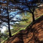 Pico do Facho Panoramic Trail - What Is the Pico do Facho Panoramic Trail?