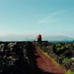 Pico island: highlights, wine tasting and local gastronomy - The Itinerary in Detail: A Day on Pico Island