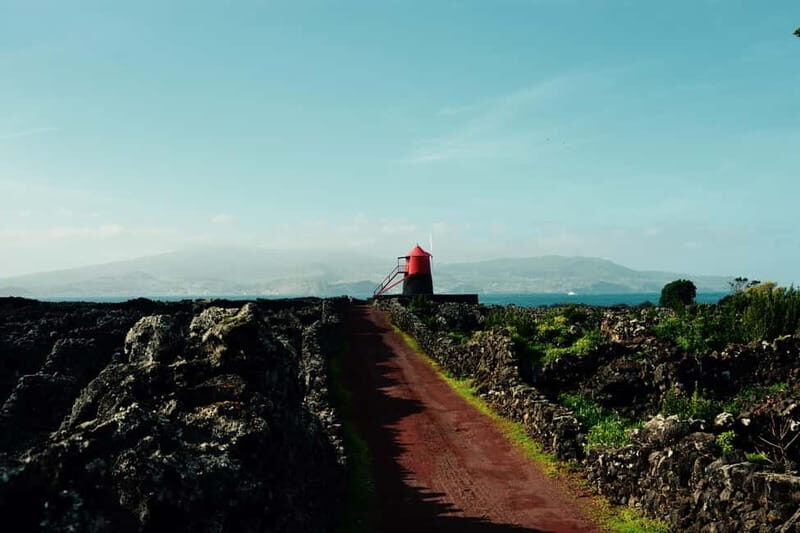 Pico island: highlights, wine tasting and local gastronomy - The Itinerary in Detail: A Day on Pico Island