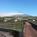 Pico Island: Tours on Pico Island - Exploring Pico’s Natural and Cultural Heritage