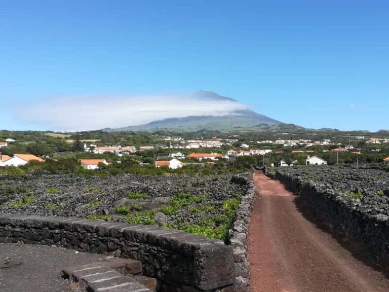 Pico Island: Tours on Pico Island - Exploring Pico’s Natural and Cultural Heritage