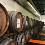 Pico Wine Tour: Get to know Pico's wines - The Practicalities and Value