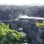 Pico Wine Tours - What To Expect From the Experience