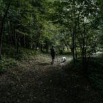 Piedmont: Private Truffle Hunting Tour with Truffle Tasting - Practical Tips for a Great Experience