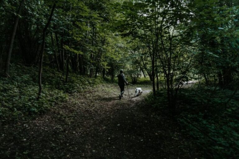 Piedmont: Private Truffle Hunting Tour with Truffle Tasting - Practical Tips for a Great Experience