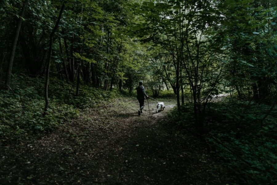 Piedmont: Private Truffle Hunting Tour with Truffle Tasting - Practical Tips for a Great Experience