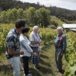 Piedmont Private Wine and Food Tour with Tastings - Practical Details and What to Expect