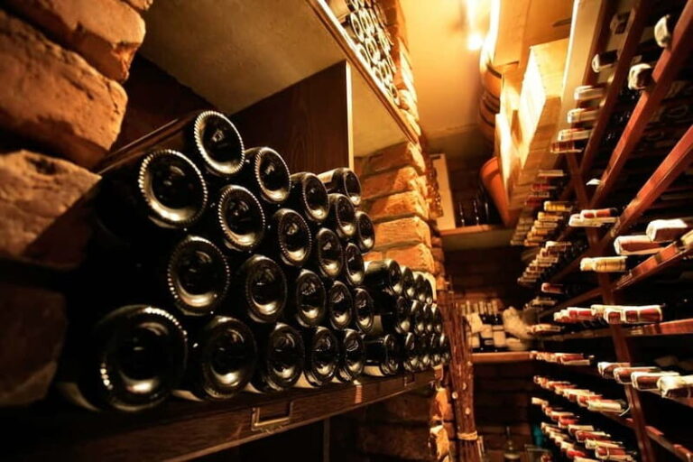 Piedmont: Winery Tour, Taste Barolo, Barbaresco & Local Food - The Wines and Food Pairings