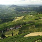 Piemonte Vineyards by Yourself from Turin - Business Car with English Chauffeur - Exploring the Valleys and Vineyards of Langhe