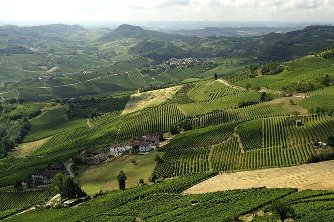 Piemonte Vineyards by Yourself from Turin - Business Car with English Chauffeur - Exploring the Valleys and Vineyards of Langhe