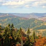 Pieniny Mountains: Hiking and Rafting Tour from Krakow - What’s Included and What You Should Budget For