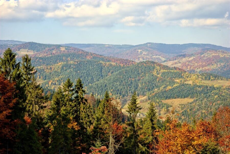 Pieniny Mountains: Hiking and Rafting Tour from Krakow - What’s Included and What You Should Budget For