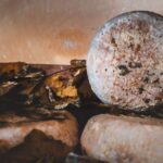 Pienza: Dairy Farm Tour with Pecorino Cheese Tasting - Who Will Love This Tour?