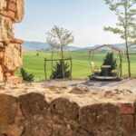 Pienza: guided tasting of Orcia DOC wine and organic EVO oil - Who Will Enjoy This Tour?