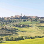 Pienza: tour of the mill with oil and wine tasting - The Experience in Context: What Makes It Valuable for Travelers