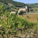 Pienza, Val d'Orcia, Montalcino wine and Pecorino cheese PRIVATE TOUR from SIENA - Practical Details: What to Expect