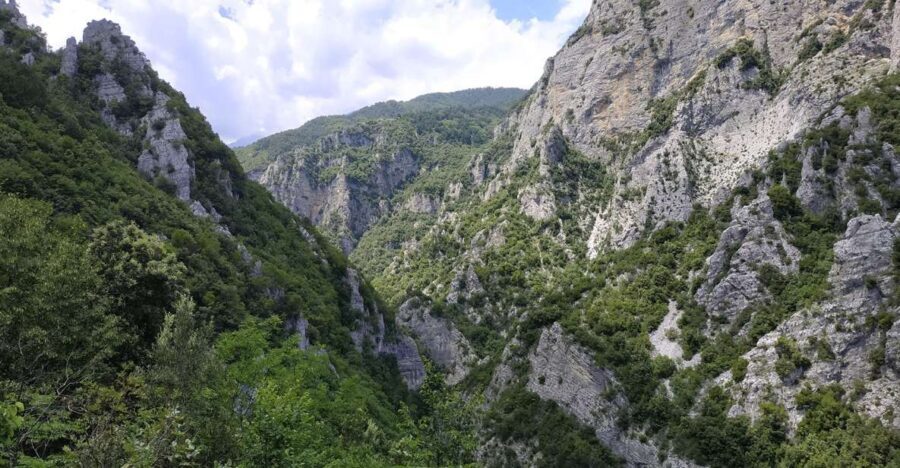 Pieria: Guided Hiking Tour in Enipeas Gorge of Mount Olympus - In-Depth Breakdown of the Tour
