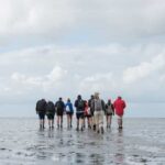 Pieterburen: Wadden Sea Mudflats Guided Walking Tour - The Itinerary Breakdown
