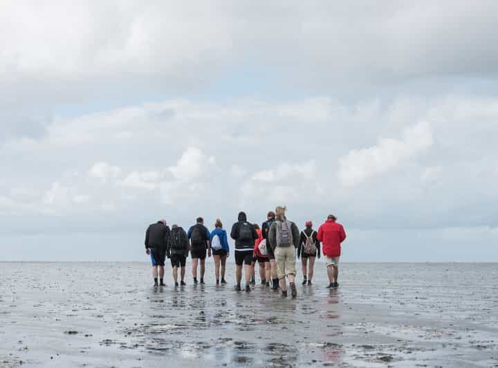 Pieterburen: Wadden Sea Mudflats Guided Walking Tour - The Itinerary Breakdown