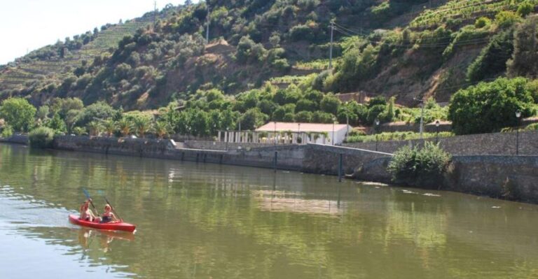 Pinhão: Douro Valley Rabelo Boat Tour and Kayak Experience - What to Expect from the Tour