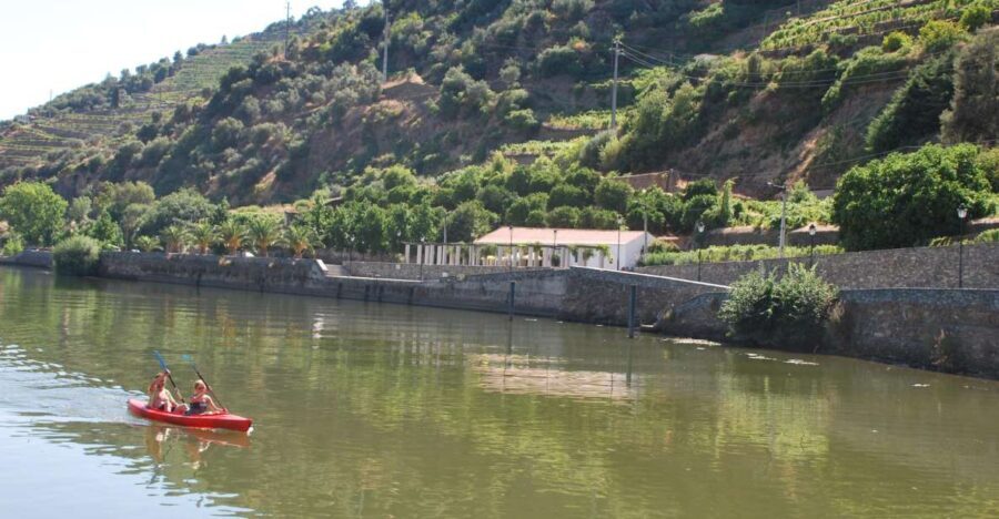 Pinhão: Douro Valley Rabelo Boat Tour and Kayak Experience - What to Expect from the Tour
