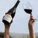 Pinhão: Quinta da Formigosa Vineyard Tour and Wine Tasting - The Itinerary: What to Expect
