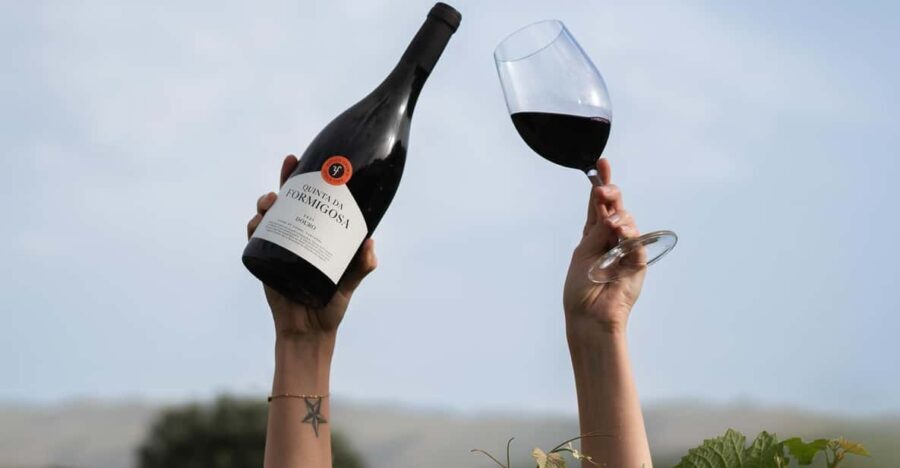 Pinhão: Quinta da Formigosa Vineyard Tour and Wine Tasting - The Itinerary: What to Expect