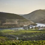 Pinhão: Quinta do Bomfim Visit and Tasting - In Summary: Who Is This Tour Best For?