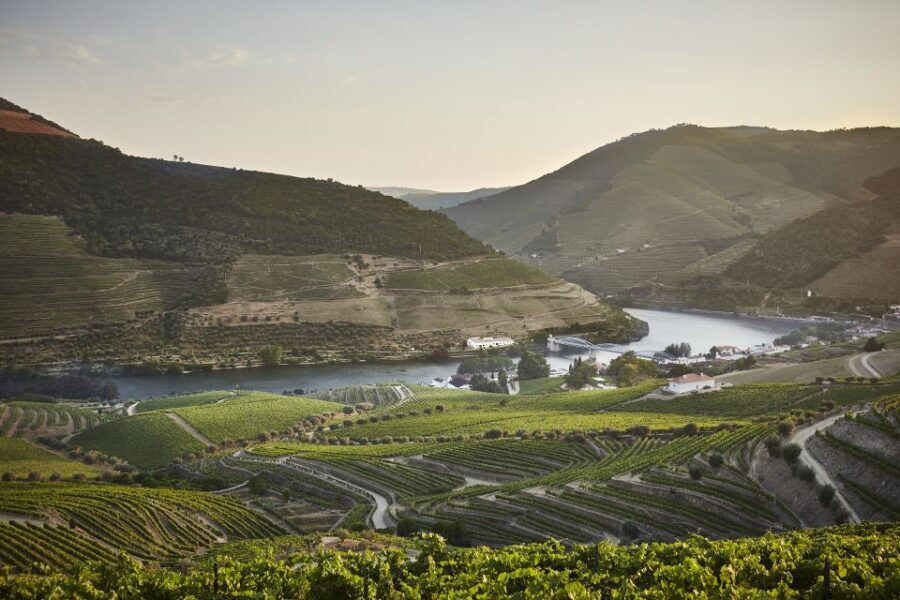 Pinhão: Quinta do Bomfim Visit and Tasting - In Summary: Who Is This Tour Best For?