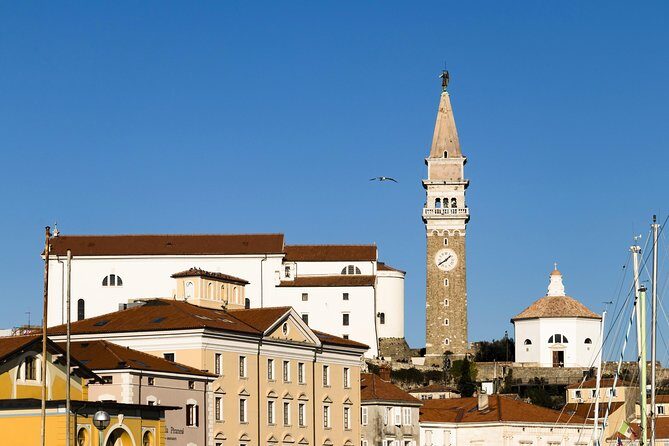 Piran & Panoramic Slovenian Coast - Shore Excursion from Trieste - Logistics, Value, and Practical Details