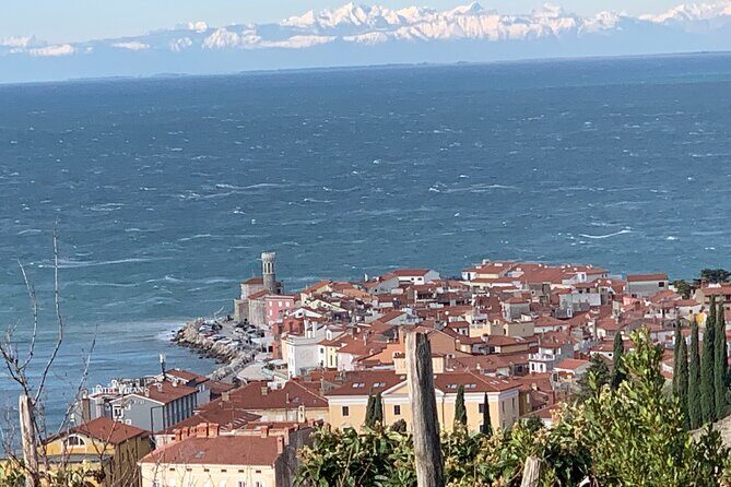 Piran & Panoramic Slovenian Coast Tour (up to 8 persons) - Practical Details and What to Expect